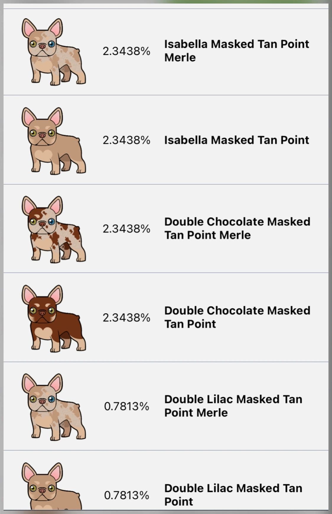Isabella French Bulldog for sale Isabella Frenchie Puppies near me