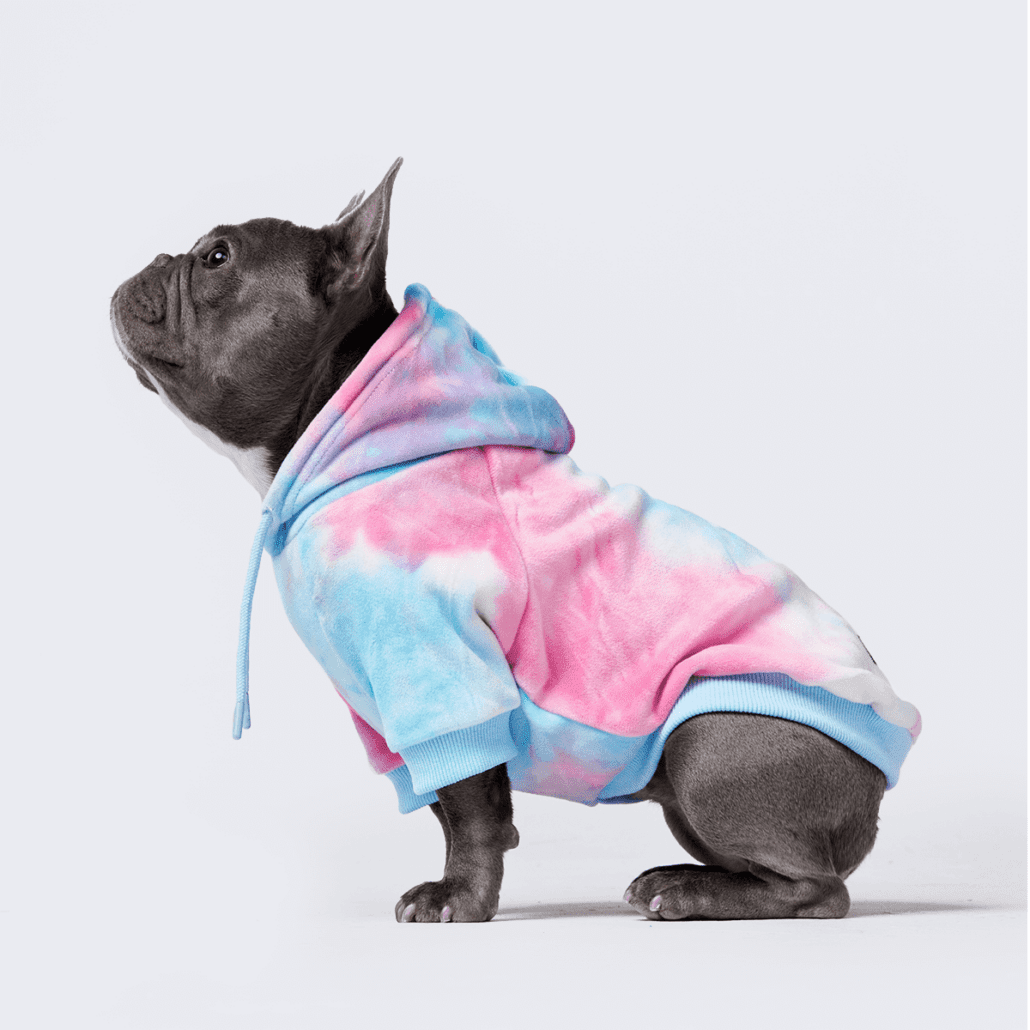 French Bulldog Clothes | baby Frenchie puppy clothing | Frenchie hoodie