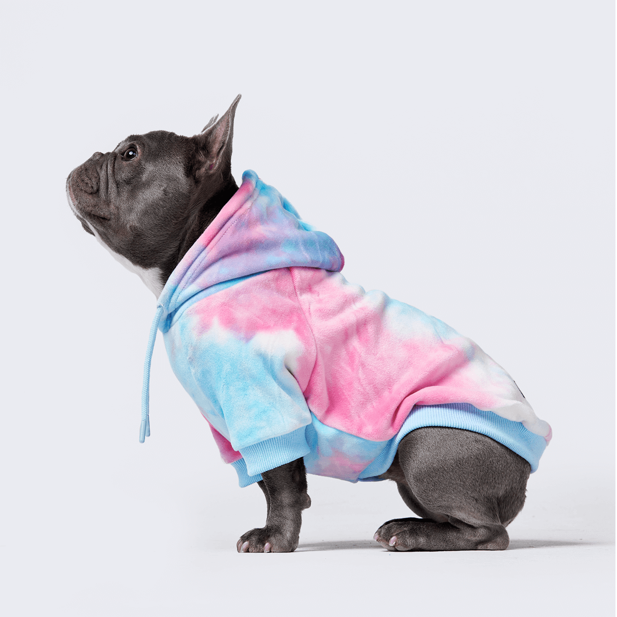 French Bulldog Clothes | baby Frenchie puppy clothing | Frenchie hoodie